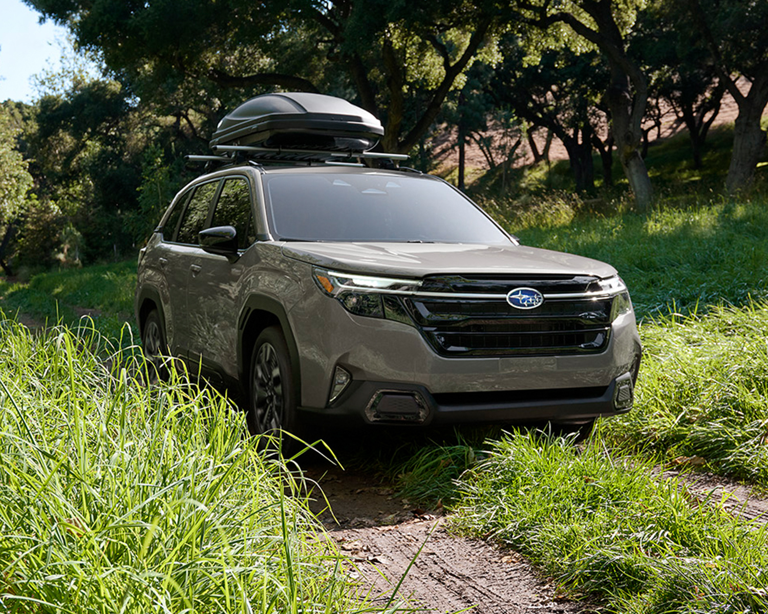 Compare Subaru Outback vs. Subaru Forester in San Diego, CA